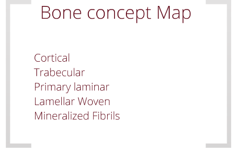 Bone Concept Map by Shanelle Gayle on Prezi