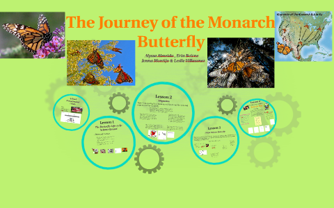 The Journey of the Monarch Butterfly by Leslie Villasenor on Prezi