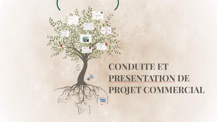 CONDUITE ET PRESENTATION DE PROJET COMMERCIAL by Marion Lavachielli on ...