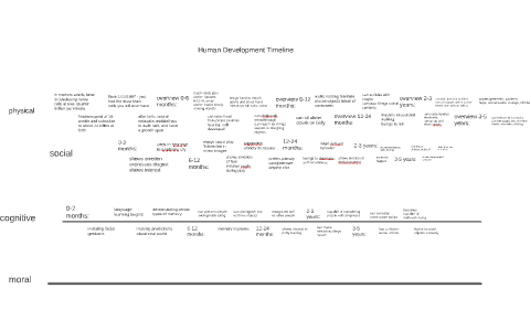 Human Development Timeline by Gabriella DiFronzo