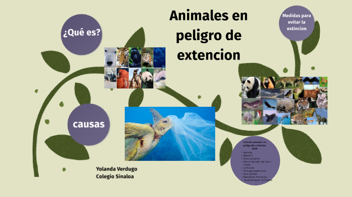 Animales en peligro de extencion by Yolanda Verdugo on Prezi