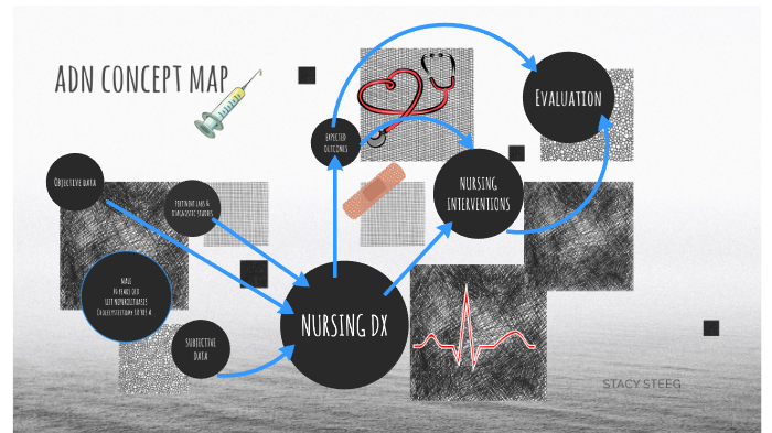 ADN CONCEPT MAP by Stacy Young on Prezi
