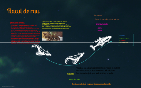 Racul de rau by otto trofin on Prezi