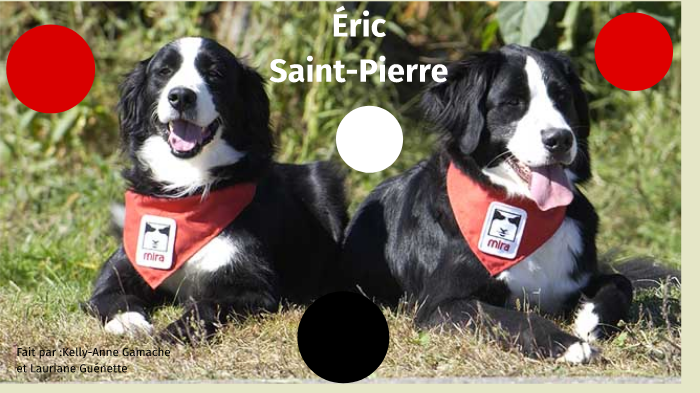 presentation francais by Kelly-Anne Gamache on Prezi