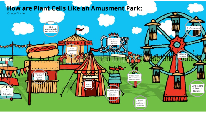 How an Plant Cell is Like an Amusement Park by Grace Finnie on Prezi