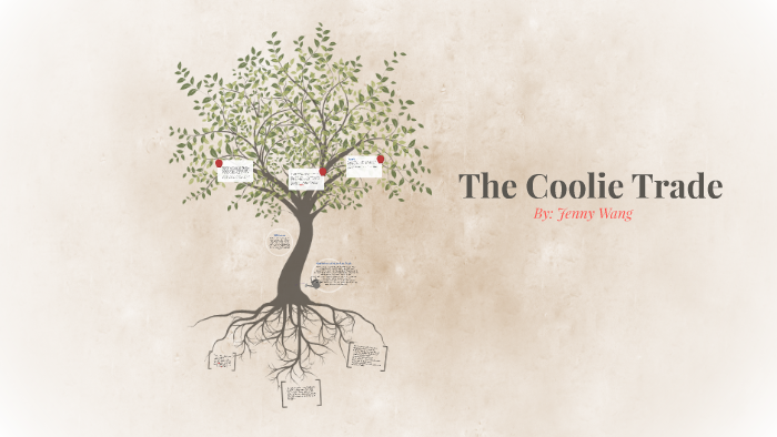 The Coolie Trade by Jenny Wang on Prezi