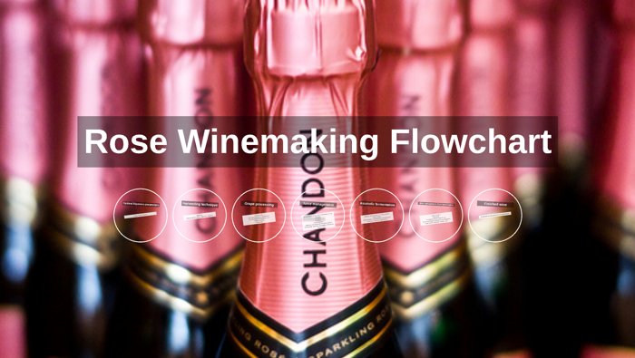 Rose Winemaking Flowchart by Bertus Fourie on Prezi