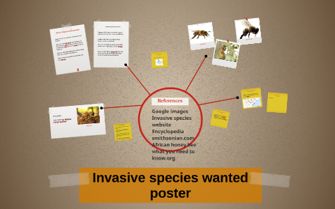 Invasive species wanted poster by savannah Mills on Prezi