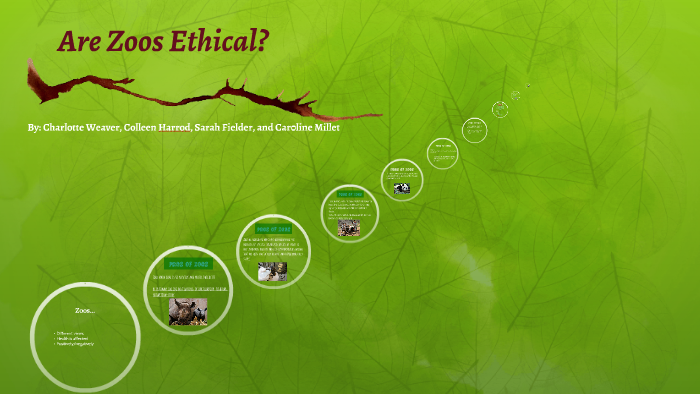 Are Zoos Ethical? by Bioethics PBL Zoo Ethics on Prezi