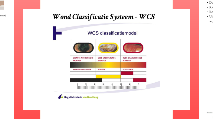 WCS by Renee de Hoon on Prezi