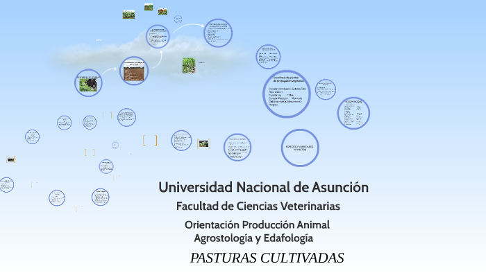 PASTURAS CULTIVADAS by Leticia Andrea Rojas Meza on Prezi