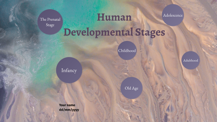 Timeline of human development by Leah K on Prezi