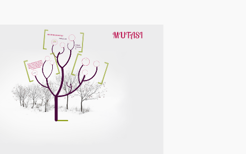 MUTASI by Miftahur Rahmah on Prezi