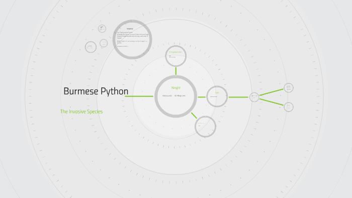 Burmese Python by William Robertson on Prezi