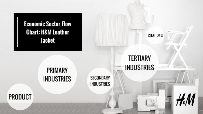 Economic Sector Flow Chart by Ciara Thakoordyal on Prezi