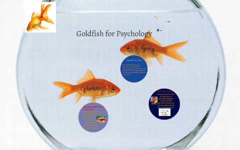 Goldfish in Psychology by Aesha S on Prezi