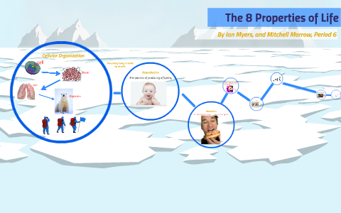 The 8 Properties of Life by Mitchell Morrow on Prezi