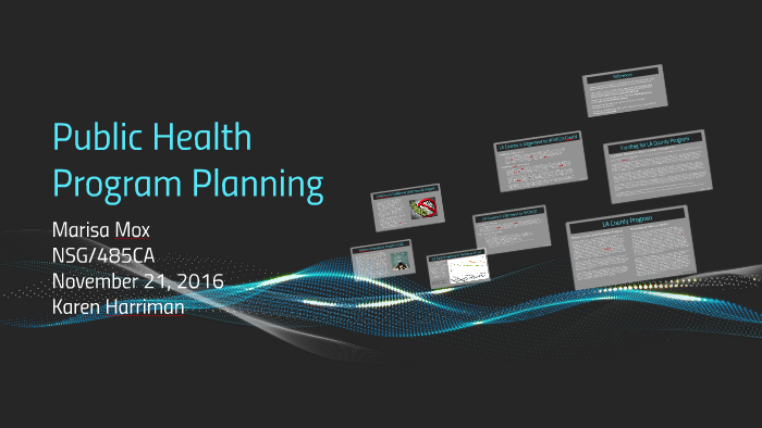 Public Health Program Planning by Marisa Mox on Prezi