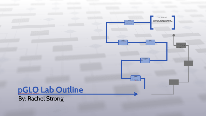 pGLO Lab Outline by Rachel Strong on Prezi