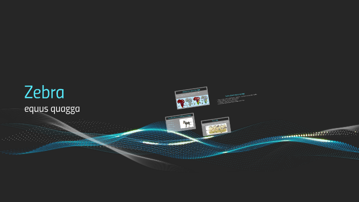 Classification of Zebras by Savanah fenwick