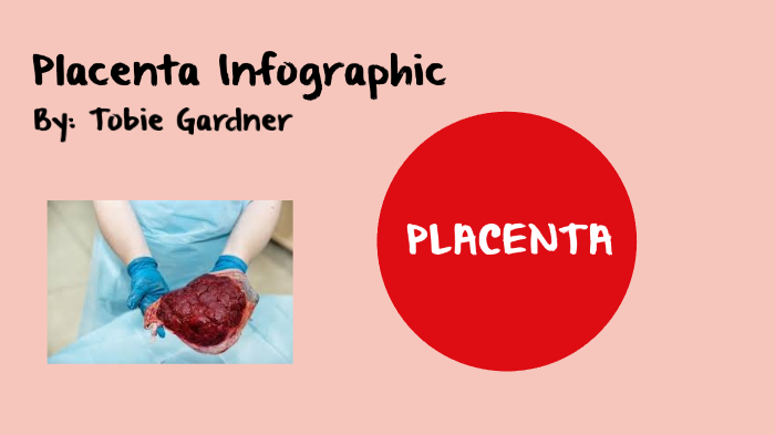 Placenta Infographic by Tobie Gardner on Prezi