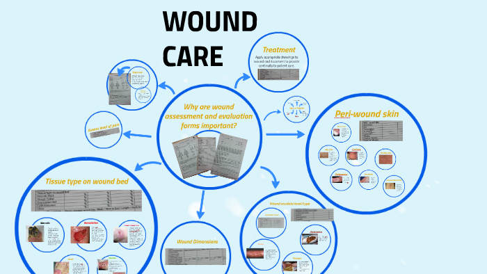 wound assessment and evaluation forms by Nicola O'Toole