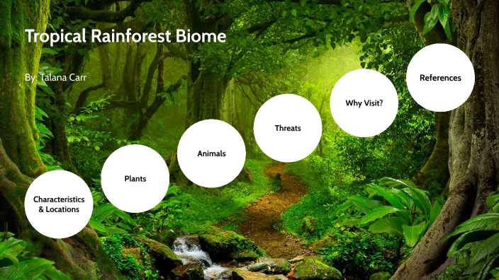 Tropical Rainforest Biome Project