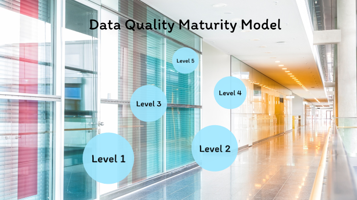 Data Quality Maturity Model by Jasmine Etzkorn on Prezi
