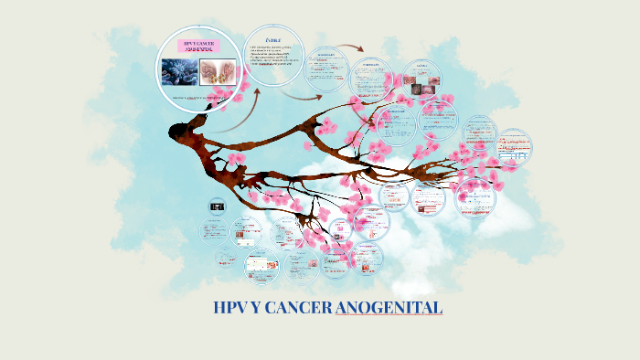HPV Y CANCER ANOGENITAL by Macarena Vázquez Conchas on Prezi