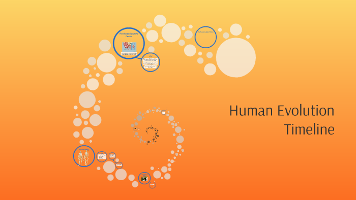 Human Evolution Timeline By Allen Awesomeness On Prezi