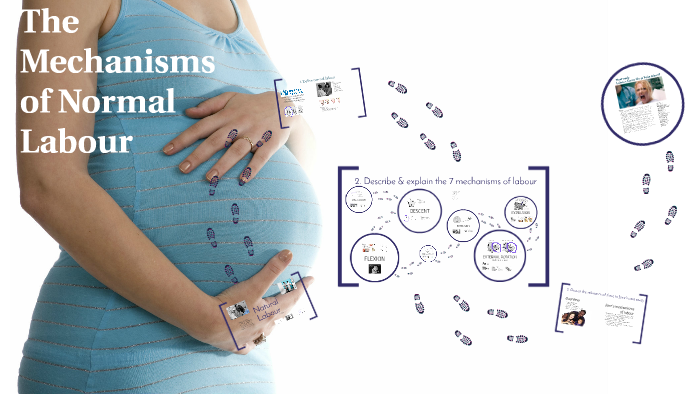 The Mechanisms of Normal Labour by Meg McGuiness on Prezi