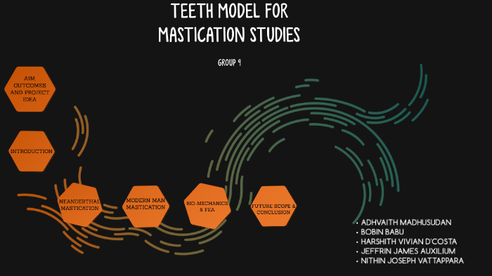 TEETH AND JAW MODEL FOR MASTICATION STUDIES by ADHVAITH MADHUSUDAN on Prezi