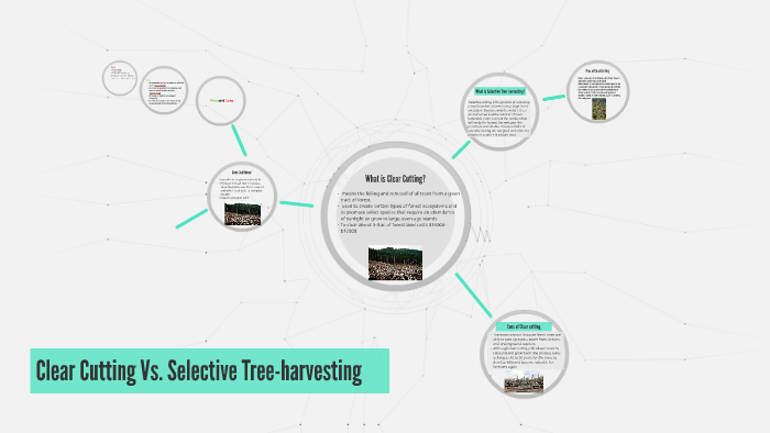 Clear Cutting Vs. Selective Tree-harvesting by Avi Sharma on Prezi