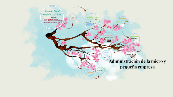 Administraciòn de la micro y pequeña empresa by danya janette diaz ...