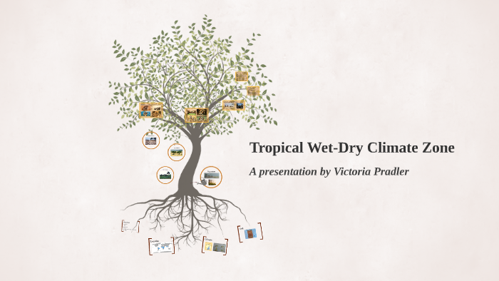 Tropical Wet-Dry Climate Zone by Victoria Pradler on Prezi