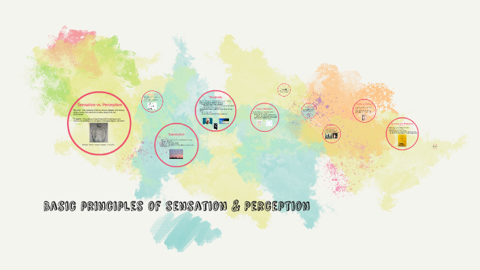 Basic principles of sensation & Perception by Kathryn Wyland on Prezi