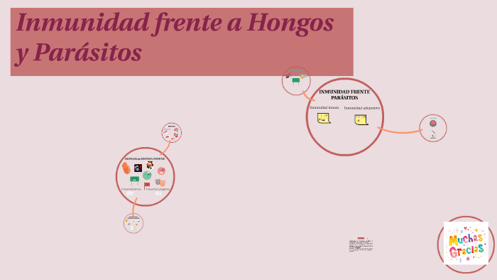 inmunidad frente a hongos by Amy L Valdez on Prezi