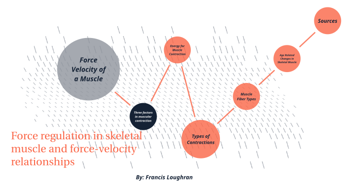 Force regulation in skeletal muscle and force-velocity relationships by ...