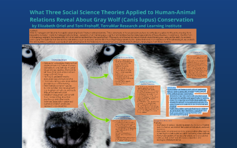 Social Science Theories/Wolf Conservation by Elizabeth Oriel on Prezi