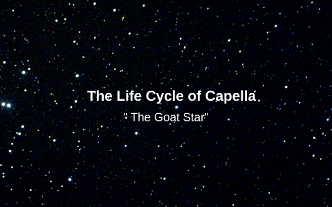 The Life Cycle of Capella by Jennifer Radle on Prezi