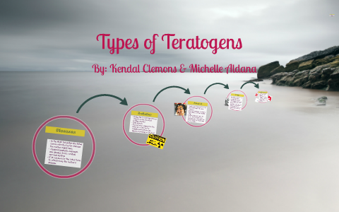 Types of Teratogens by Kendal Clemons on Prezi