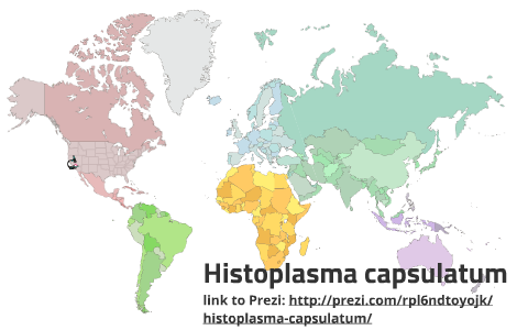 Histoplasma capsulatum by Jasprit Nijjar on Prezi