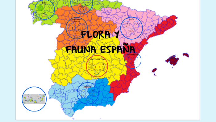 Biodiversidad de España by trabajo biologia on Prezi