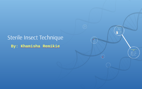Sterile Insect Technique by Khamisha Remikie on Prezi