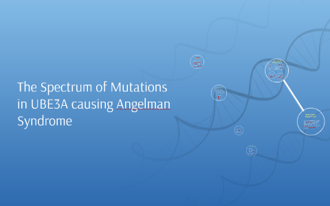 The Spectrum of Mutations in UBE3A causing Angelman Syndrome by Reiyce ...