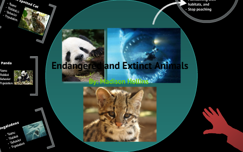 Endangered and Extinct Animals by Madison Hallinz on Prezi