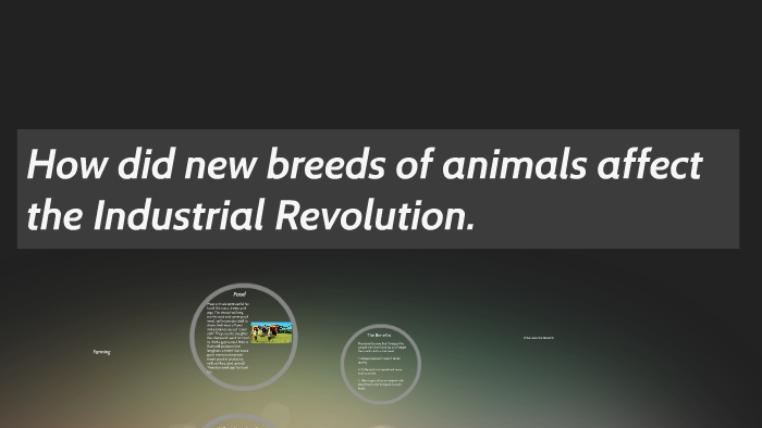How did new breeds of animals affect the Industrial Revoluti by Ramneek ...