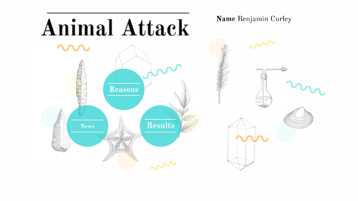 Wild animals as pets by Benjamin Curley on Prezi