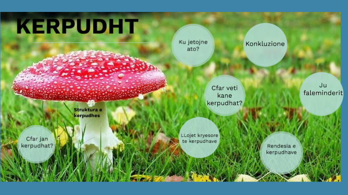 kerpudhat by Alti Agolli on Prezi