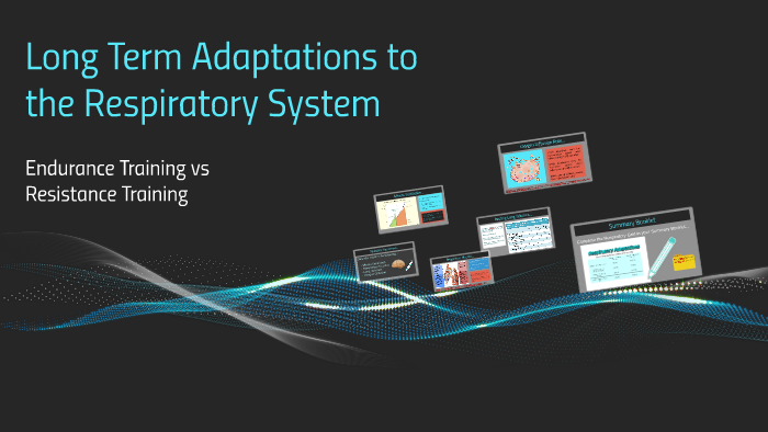 Long Term Adaptations to the Respiratory System by Helen Norris on Prezi